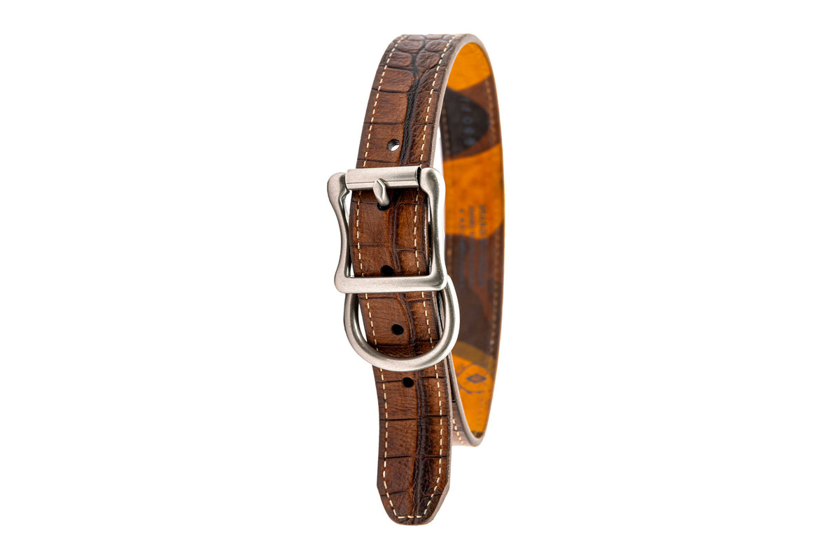 Royal Sporting Dog Collar - Walnut | Martin Dingman